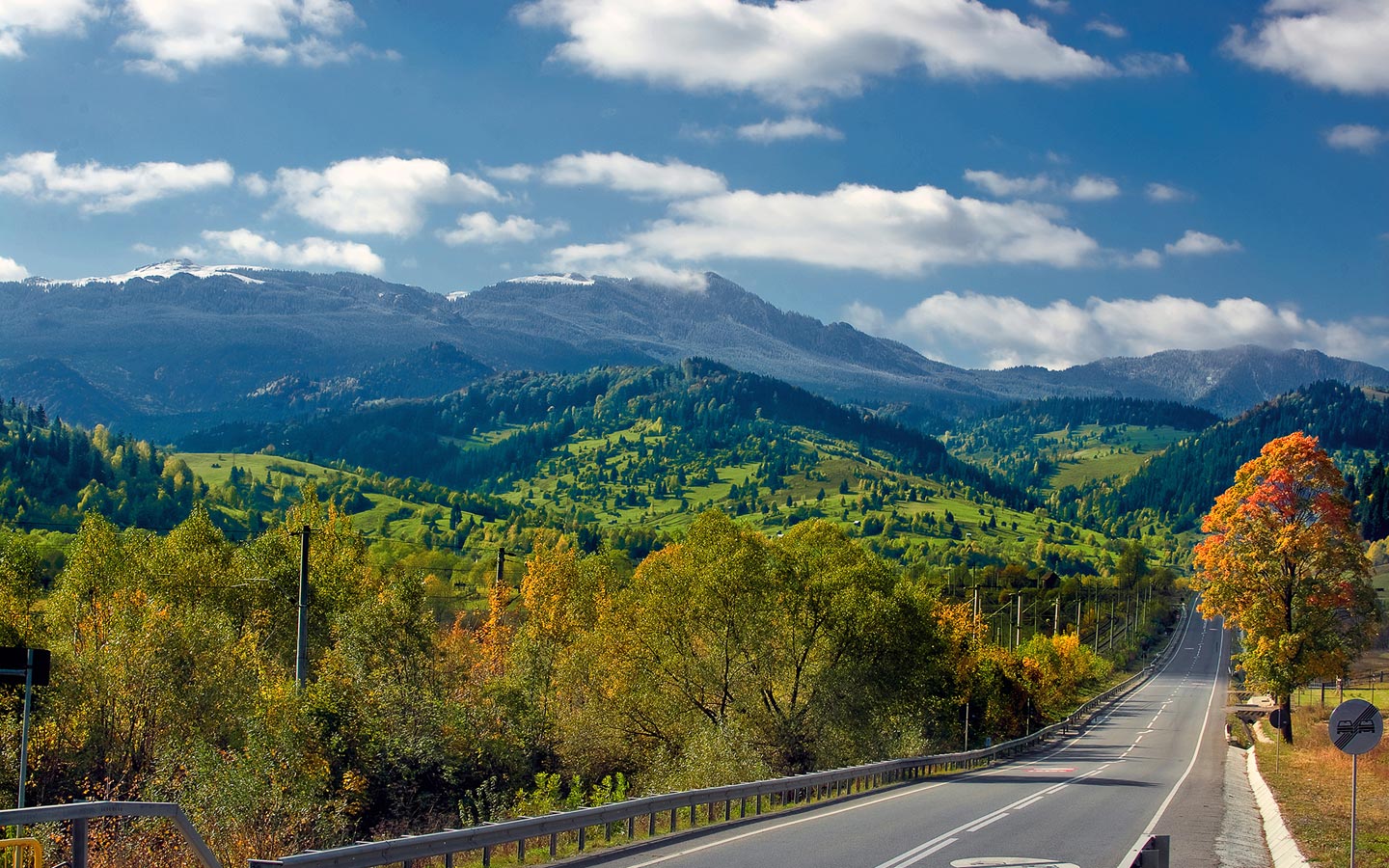 Cazare Vama Suceava - 🛎️Bucovina Exclusiv